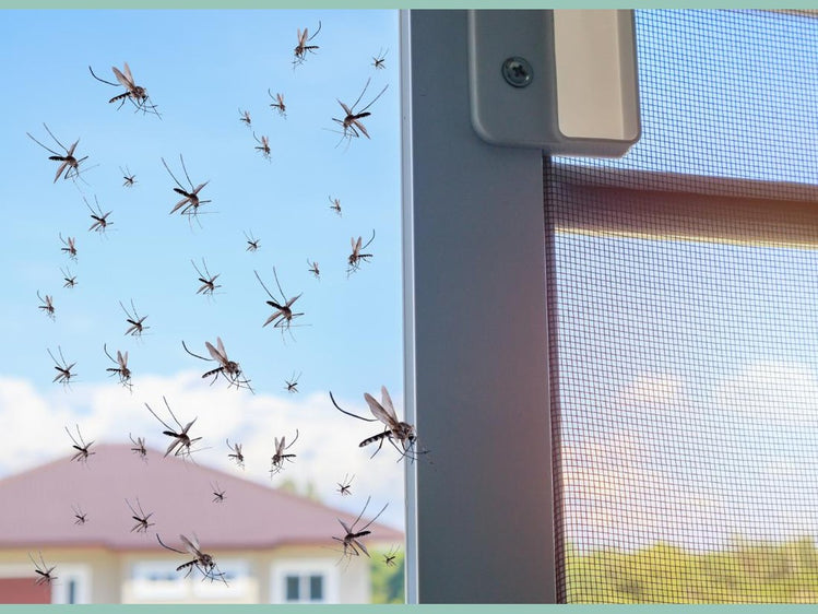 4 Advantages of Built-In Bug Screens on Wrought Iron Doors